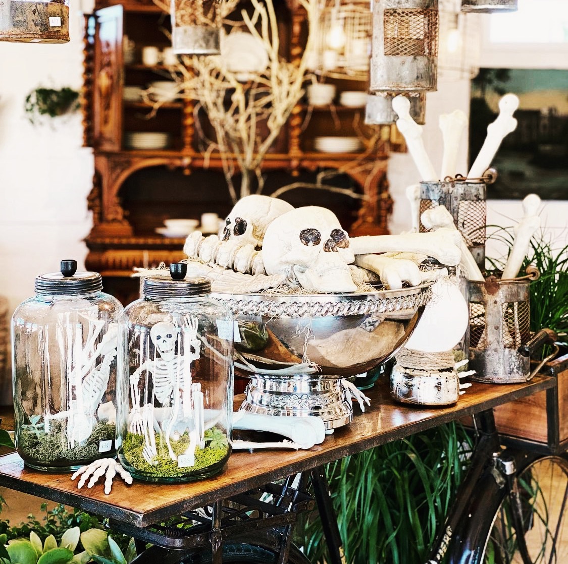 5 Local Spots to Shop Spooky this Fall - The Bend Magazine