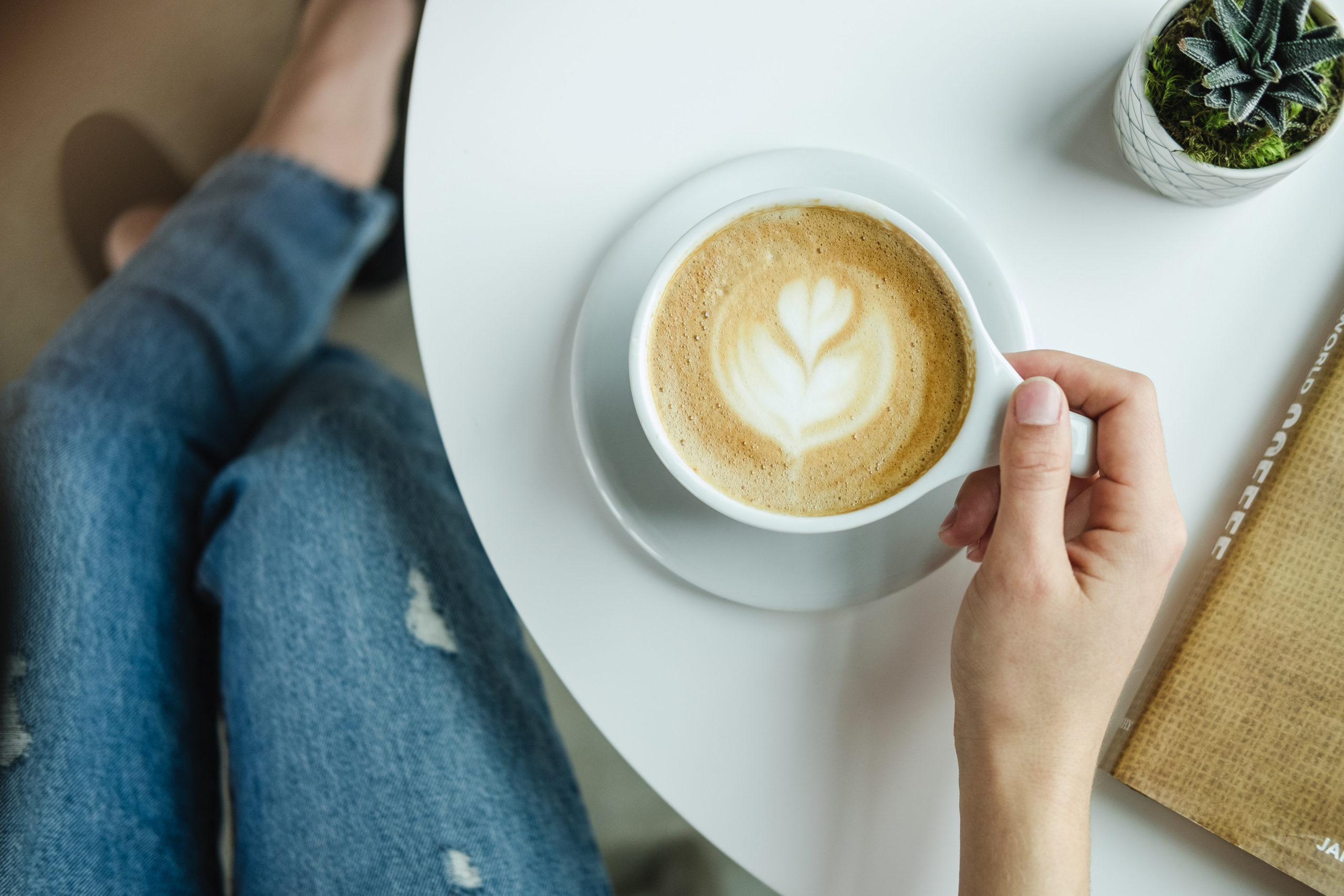 Bloom City Sensation - The Bend Magazine