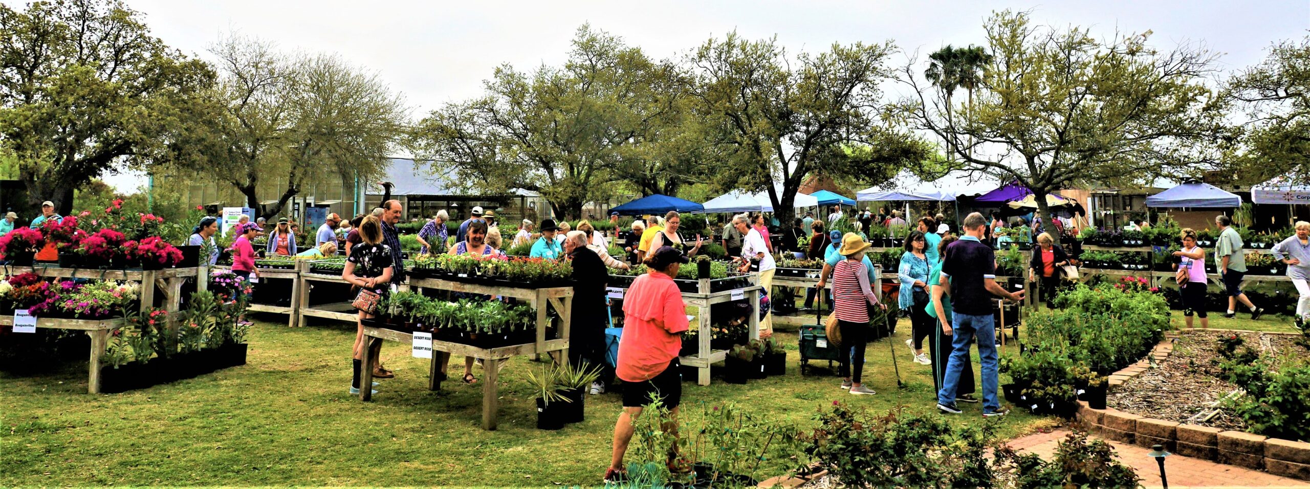 The Big Bloom Mega Plant Sale & Garden Festival is Back - The Bend Magazine