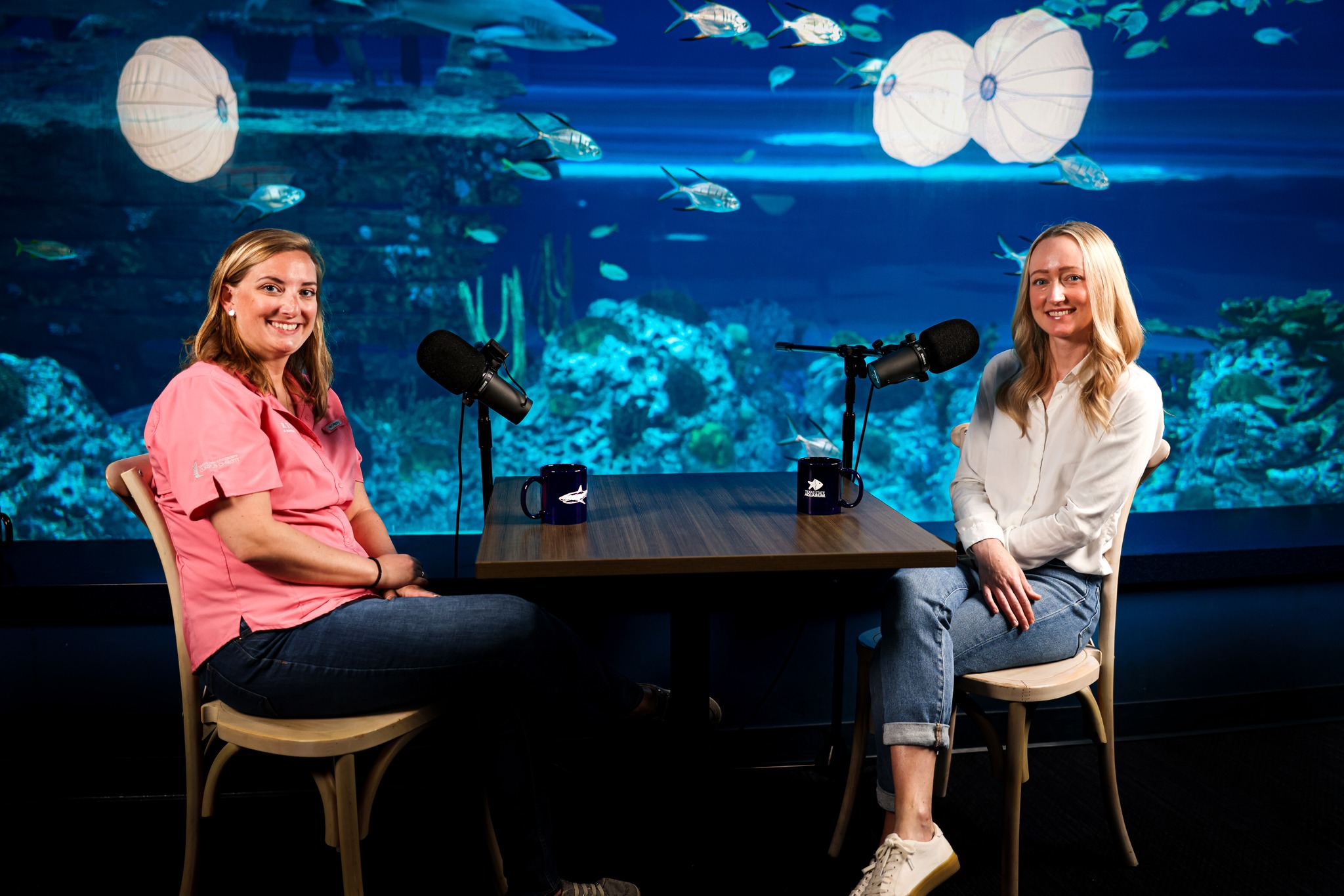 Local Shark Researcher To Be Featured in Discovery's Shark Week