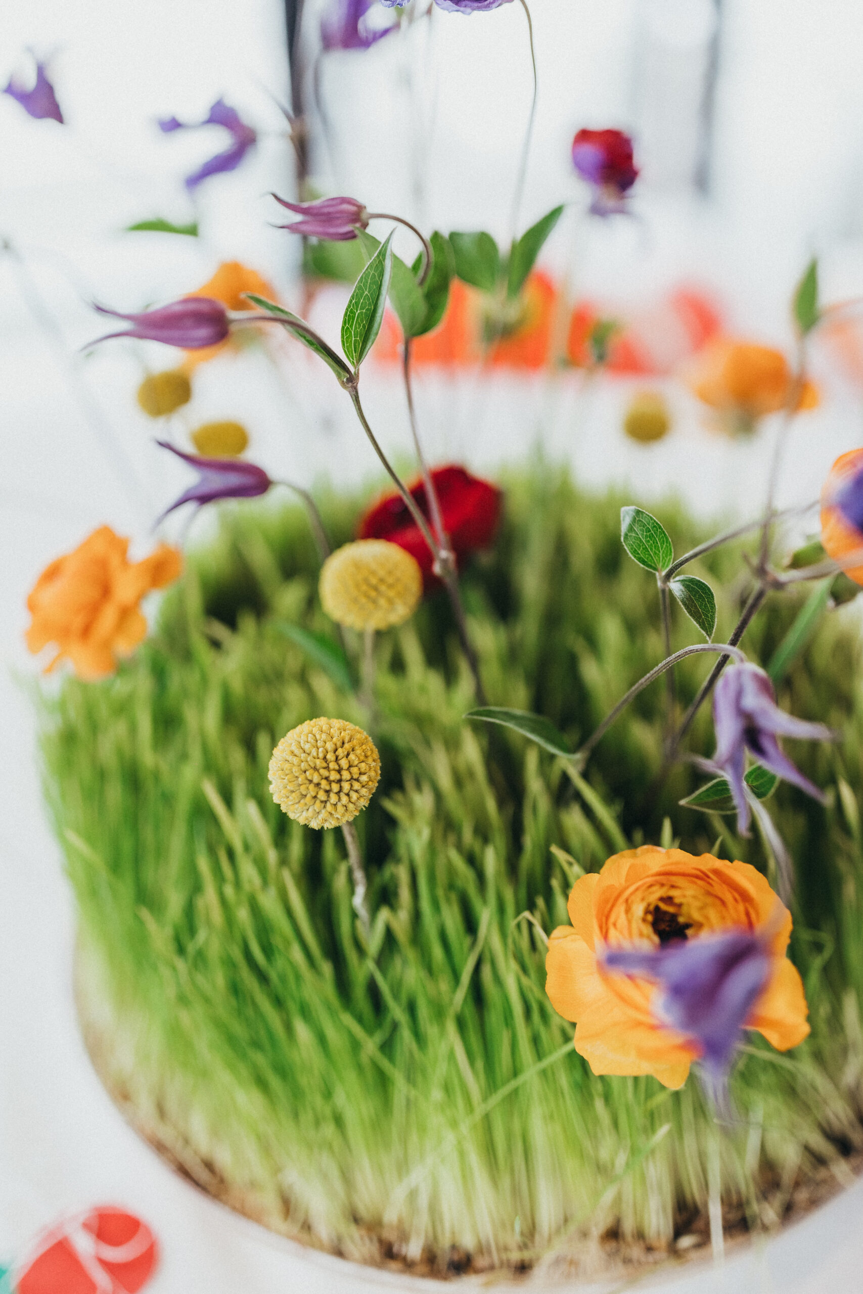The Very Hungry Caterpillar Themed Birthday Party at BUS