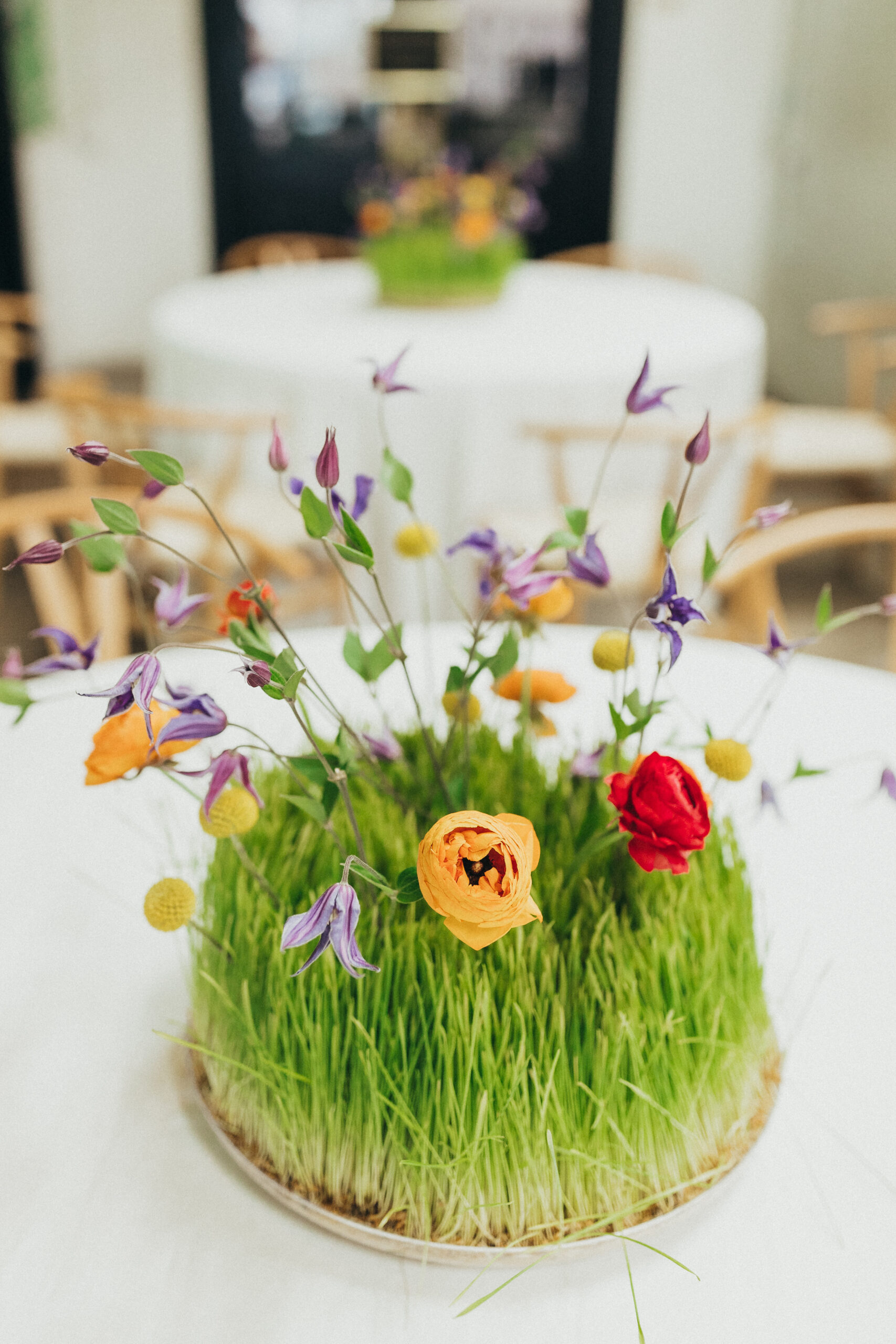 The Very Hungry Caterpillar Themed Birthday Party at BUS