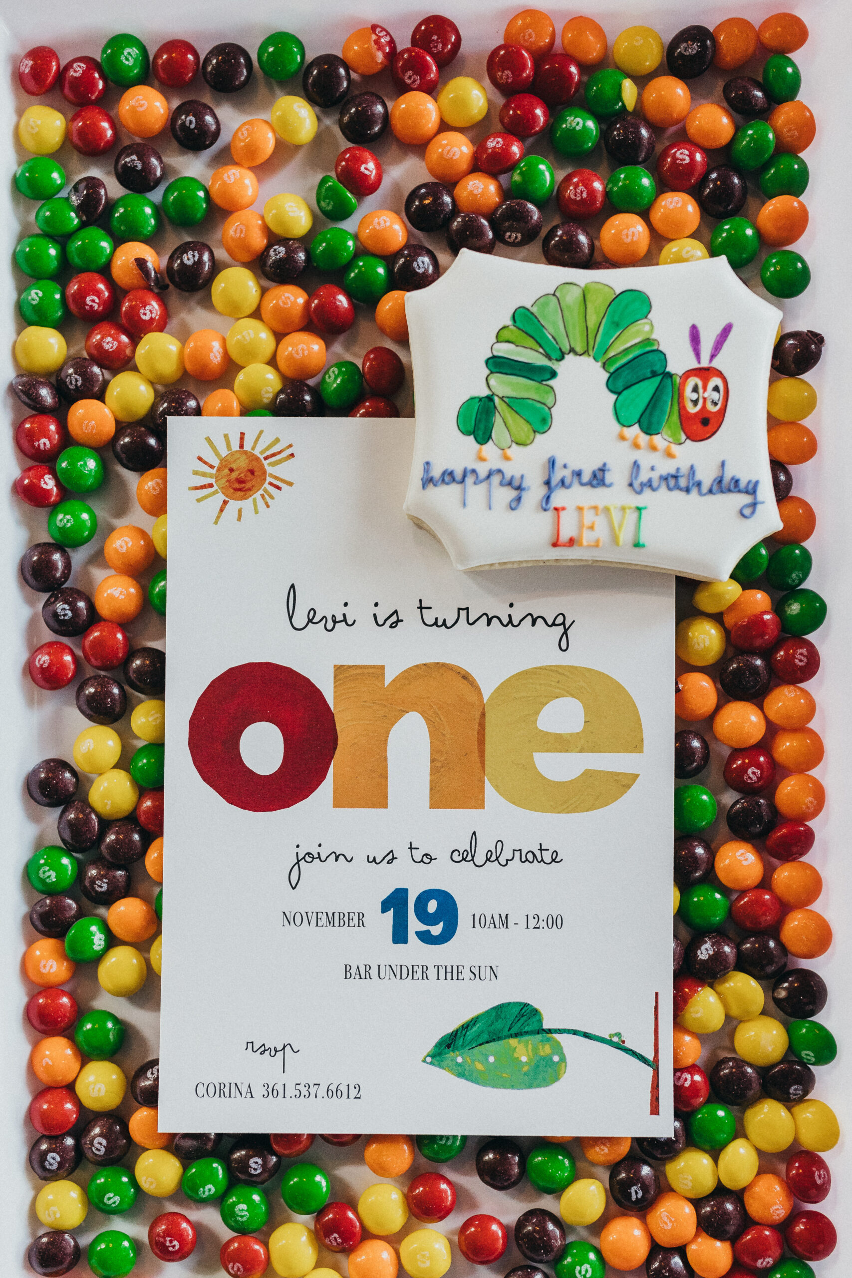 The Very Hungry Caterpillar Themed Birthday Party at BUS